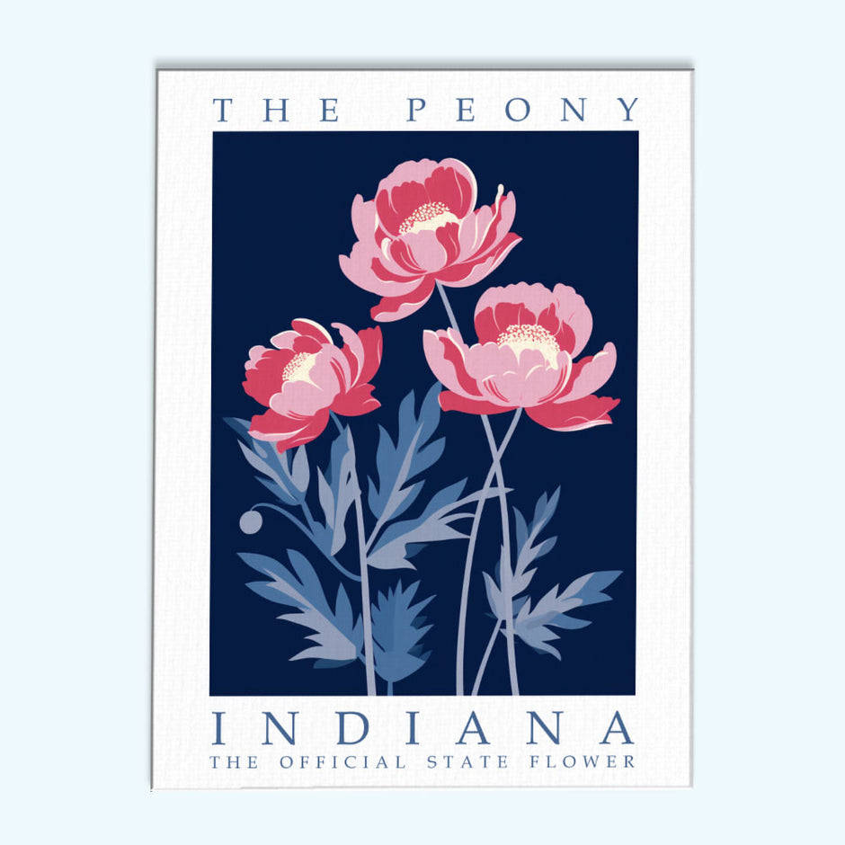 50 U.S State Flowers Paint-by-numbers – Wander Painting