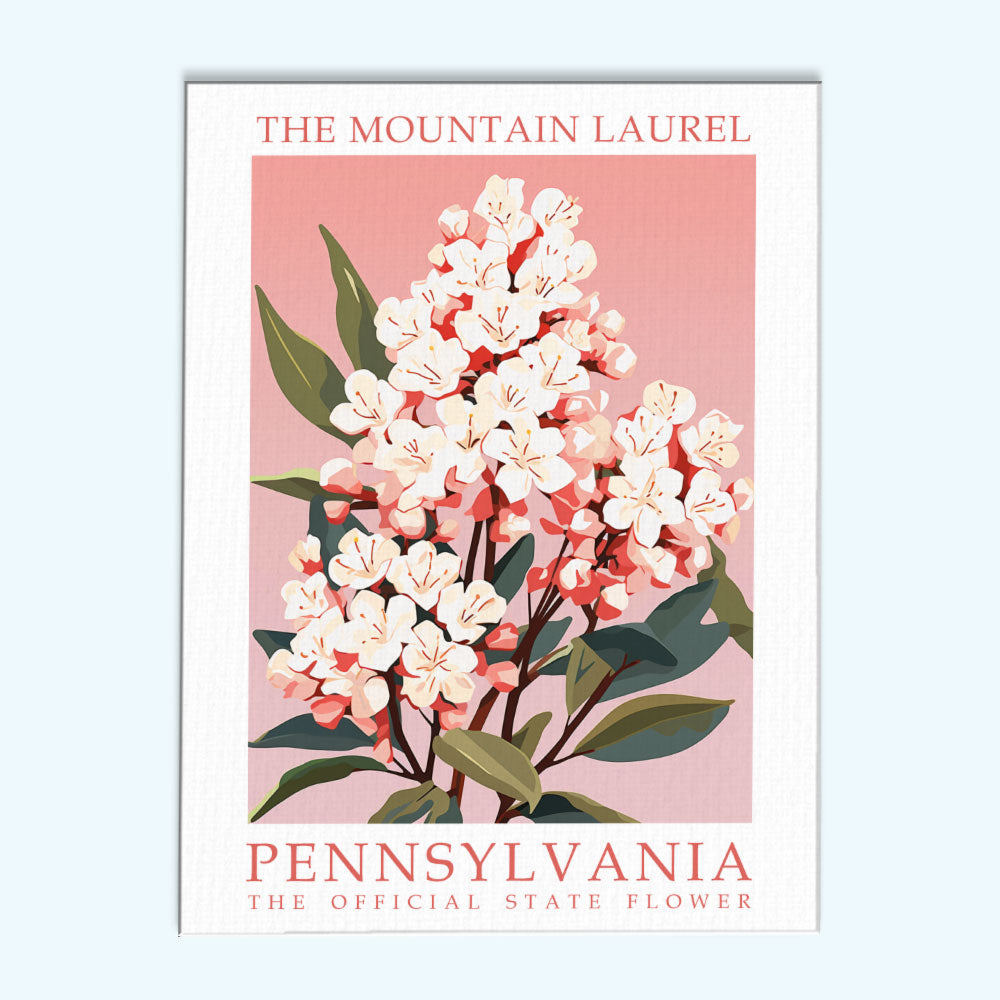 Pennsylvania State Flower - Mountain Laurel | Paint by Numbers Kit ...