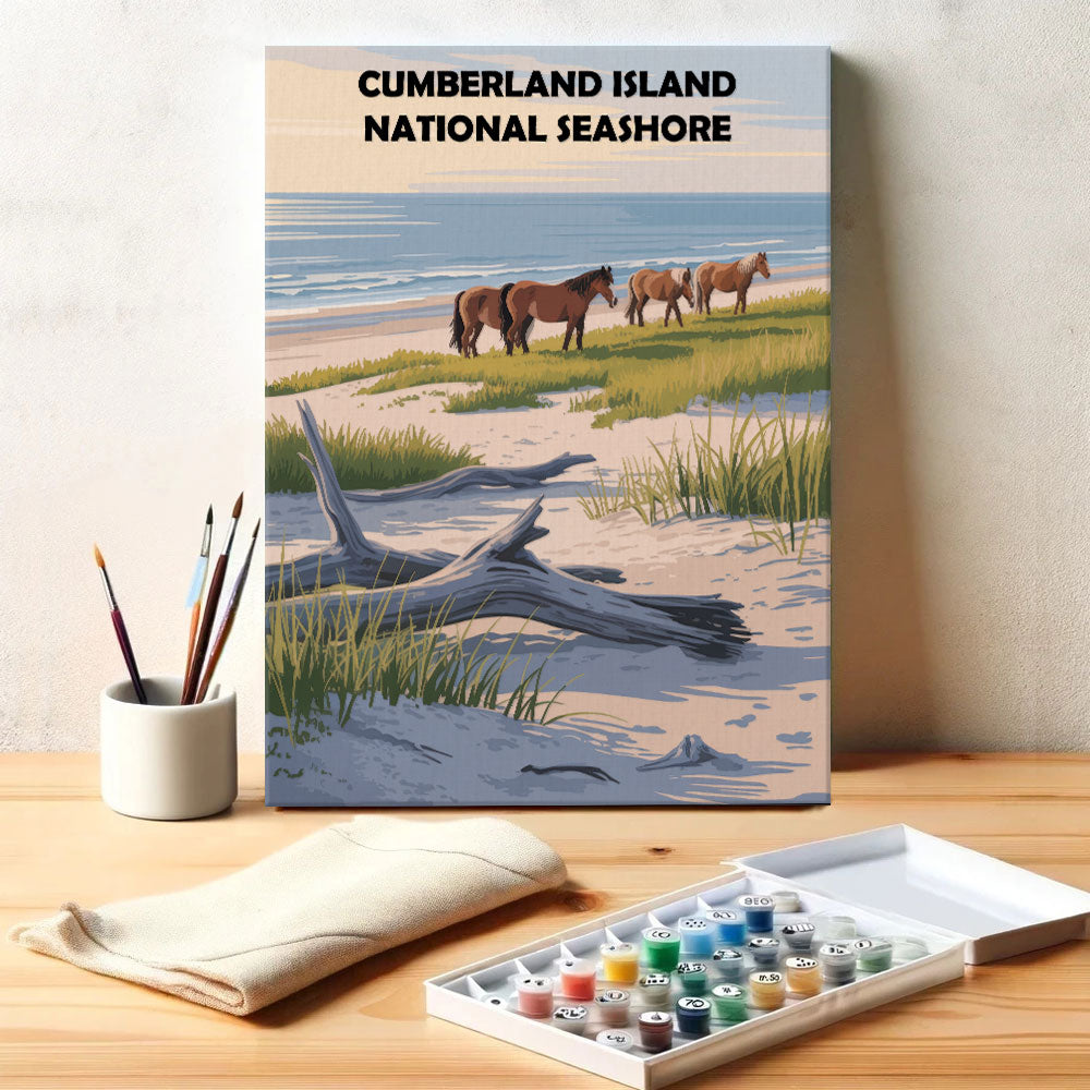 Cumberland Island National Seashore | Paint by Numbers Kit – Wander ...
