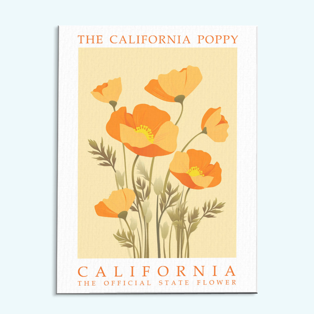 California State Flower - California Poppy | Paint by Numbers Kit ...